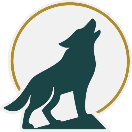 Wolf Innovations | Microsoft Data Platform Specialist